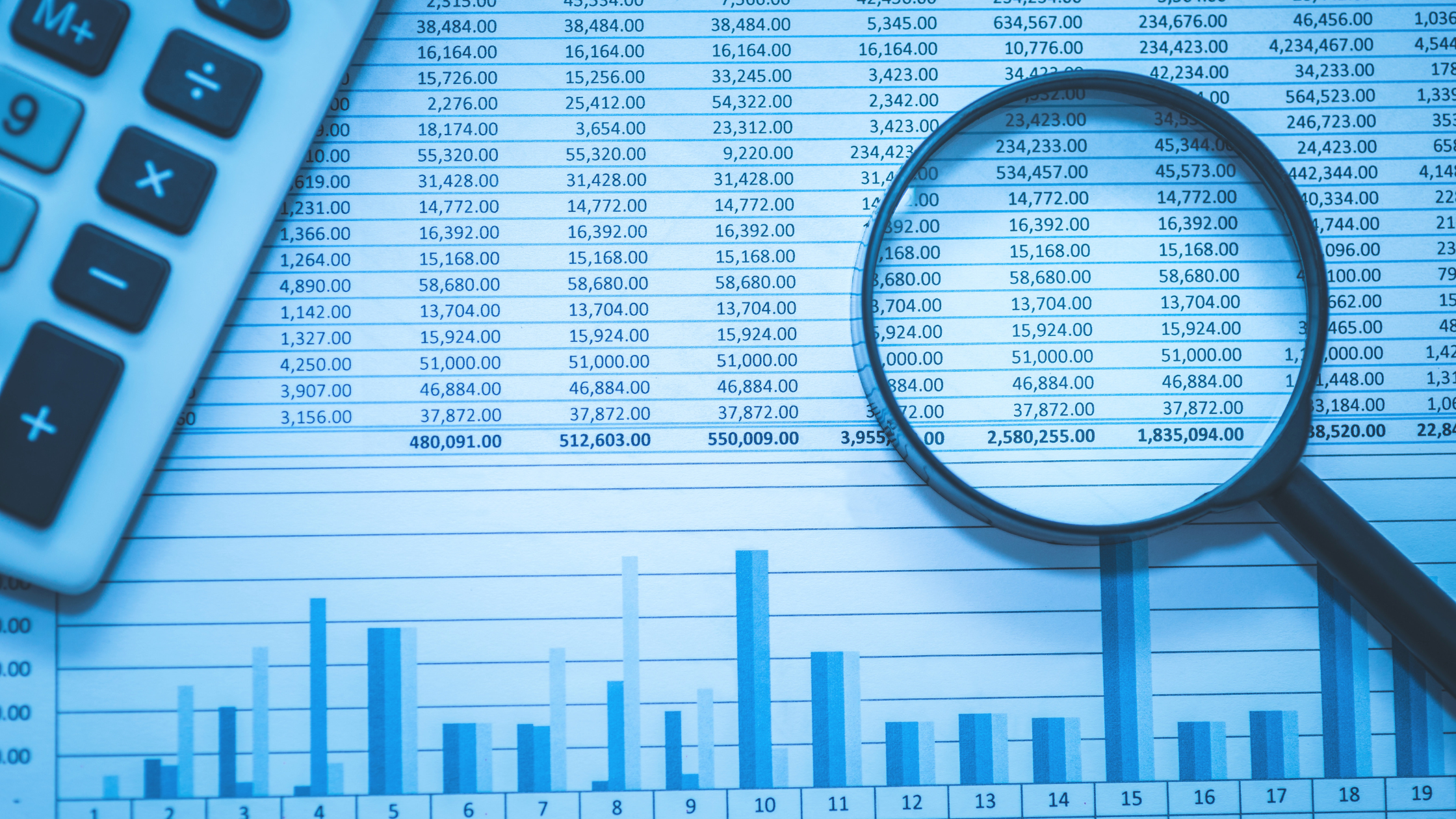 Principles for Auditing a Financial Crime Risk Management Programme for ...